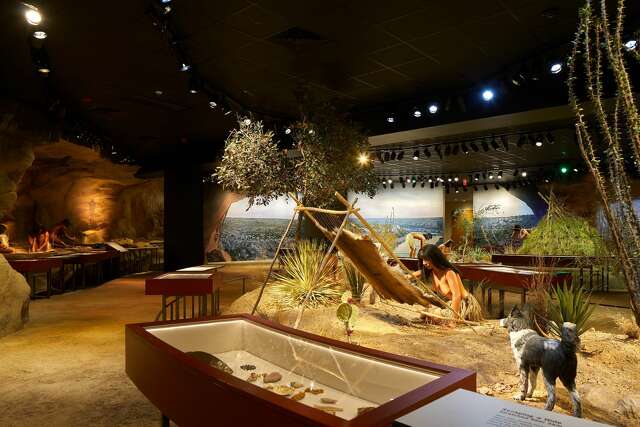 Insider's guide to the Witte Museum in San Antonio