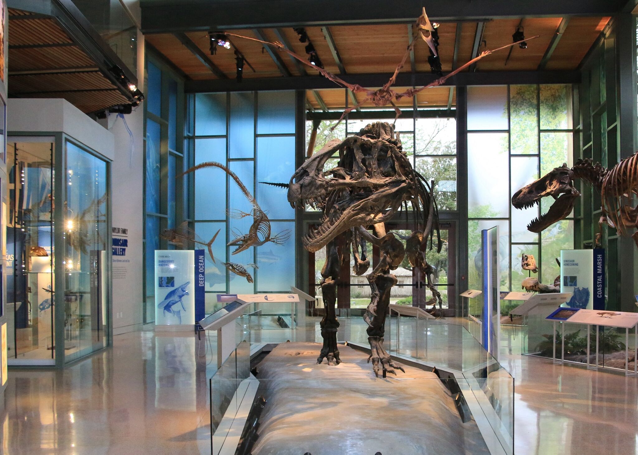 Insider's guide to the Witte Museum in San Antonio