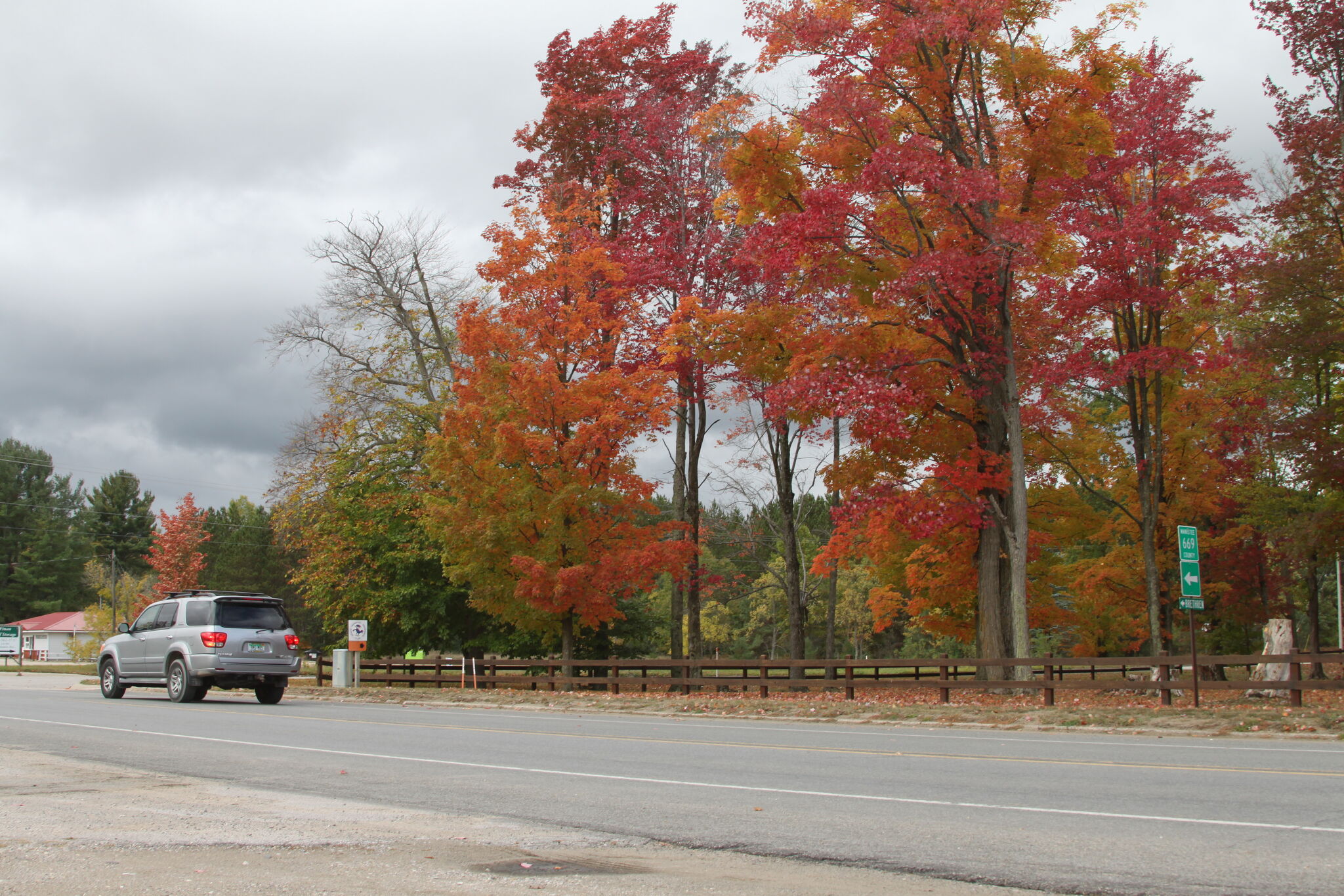 Fall colors not yet peaking in northwestern Michigan