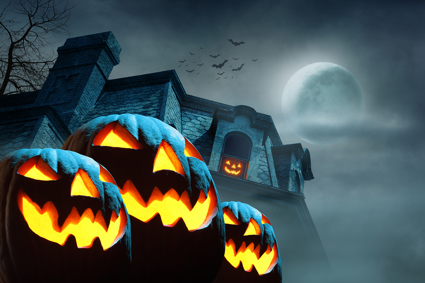 Trick-or-treat hours