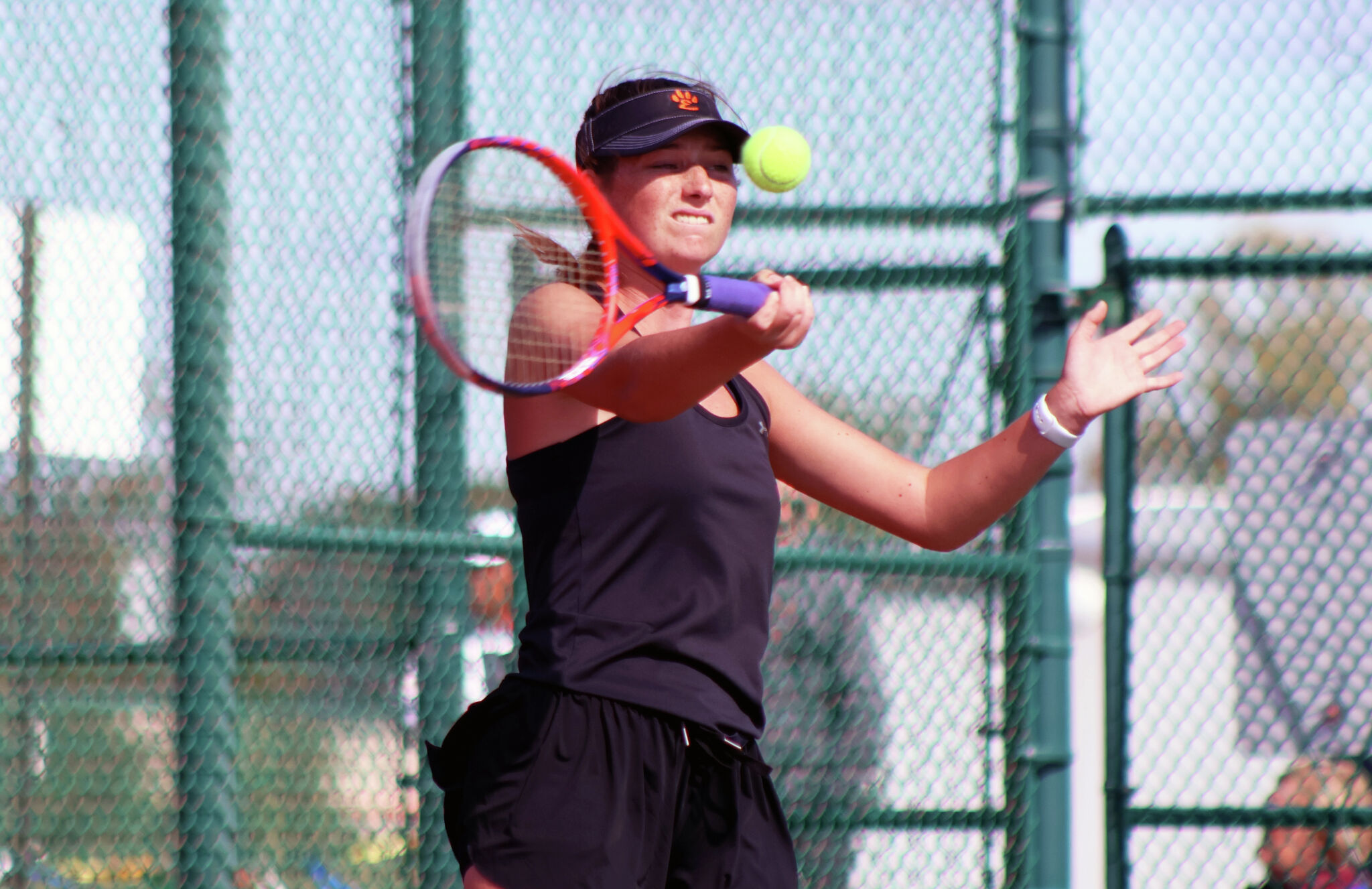 Tigers, Griffins finish up at state tennis tournament