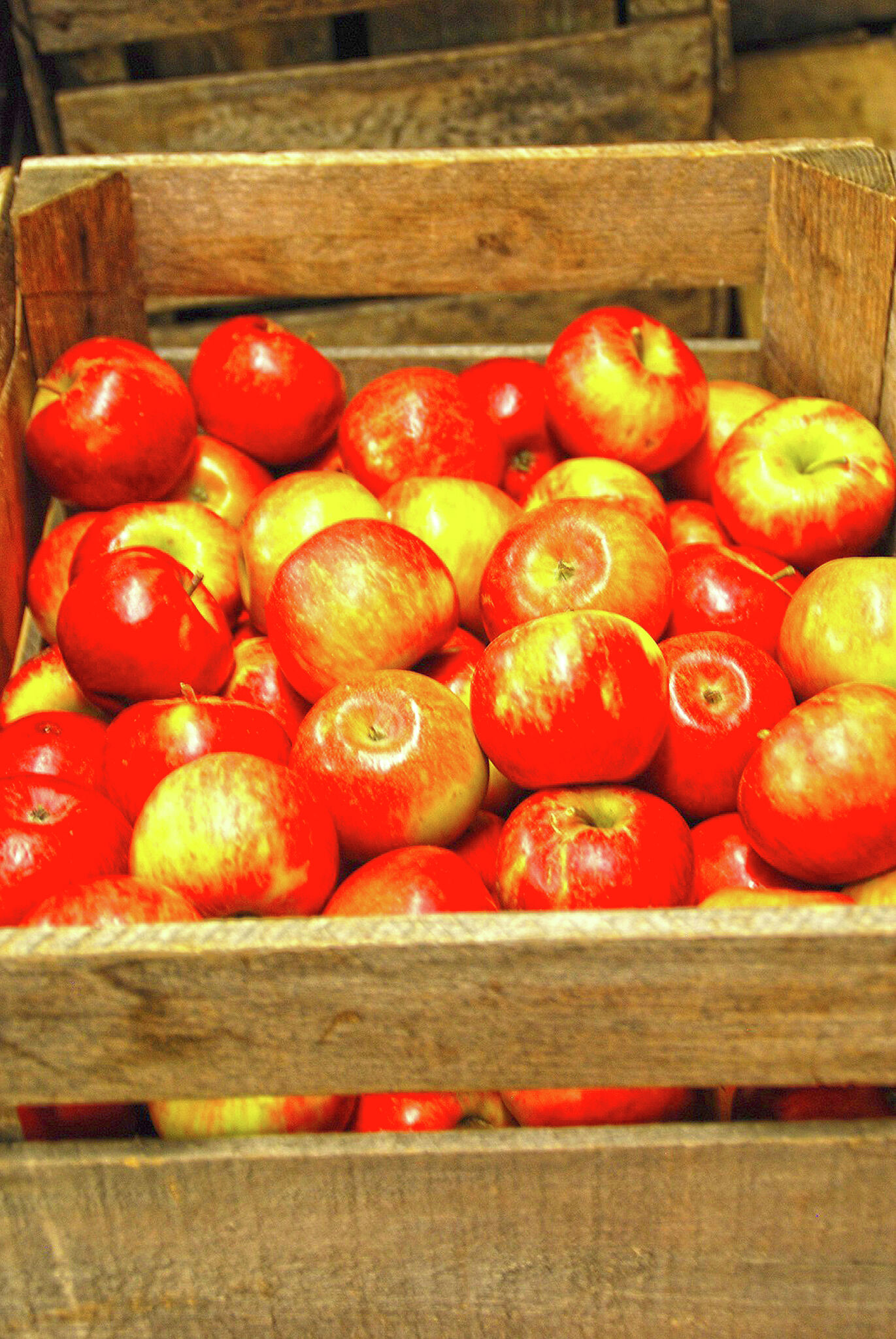 Enjoy apples now, for months to come
