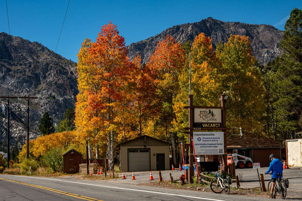 California fall foliage: Where to see the ‘very vibrant’ colors