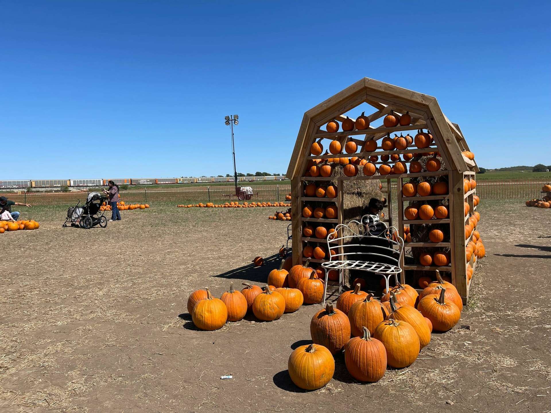 South Texas Maize is must-visit pumpkin patch for families