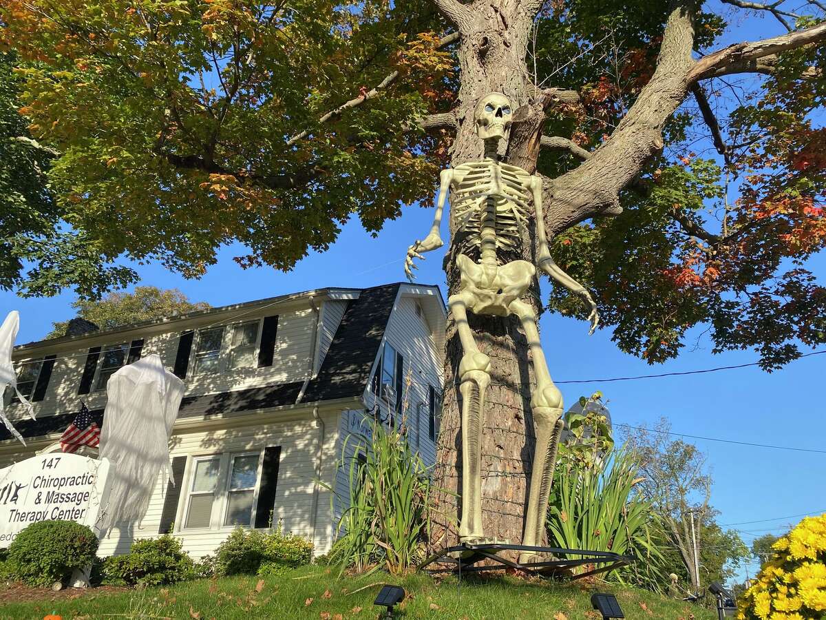 12-foot skeletons tower over CT lawns during Halloween season