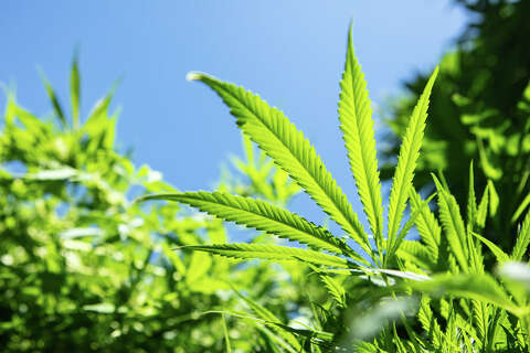 How to dispose of THC vape cartridges in California
