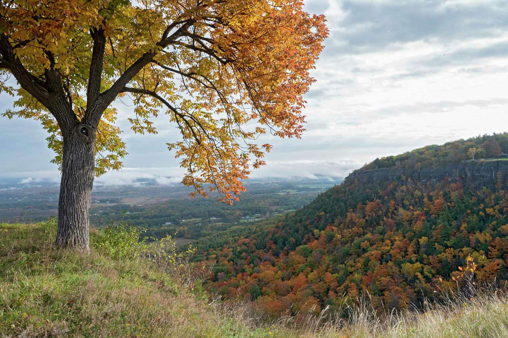Here’s when fall foliage will reach peak color in upstate New York