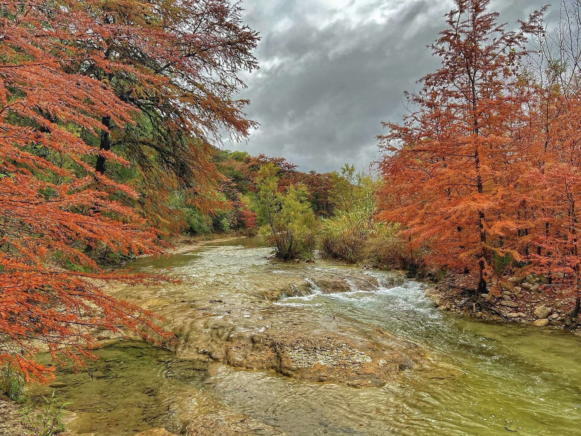 Leaves are about to change colors: Best Texas fall foliage spots