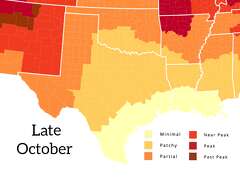 Leaves are about to change colors: Best Texas fall foliage spots