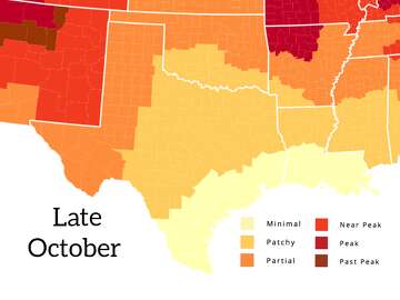 Leaves are about to change colors: Best Texas fall foliage spots