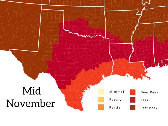 Leaves are about to change colors: Best Texas fall foliage spots