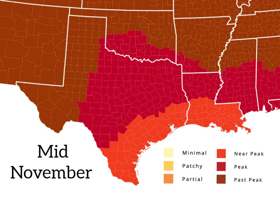 Leaves are about to change colors: Best Texas fall foliage spots