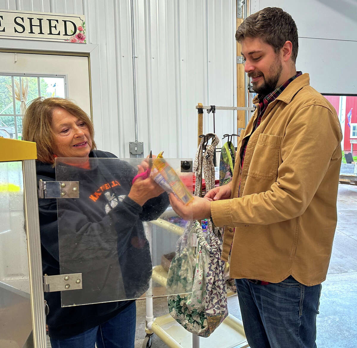 On the job: Max Milne picks pumpkins at Maxwell’s Pumpkin Farm