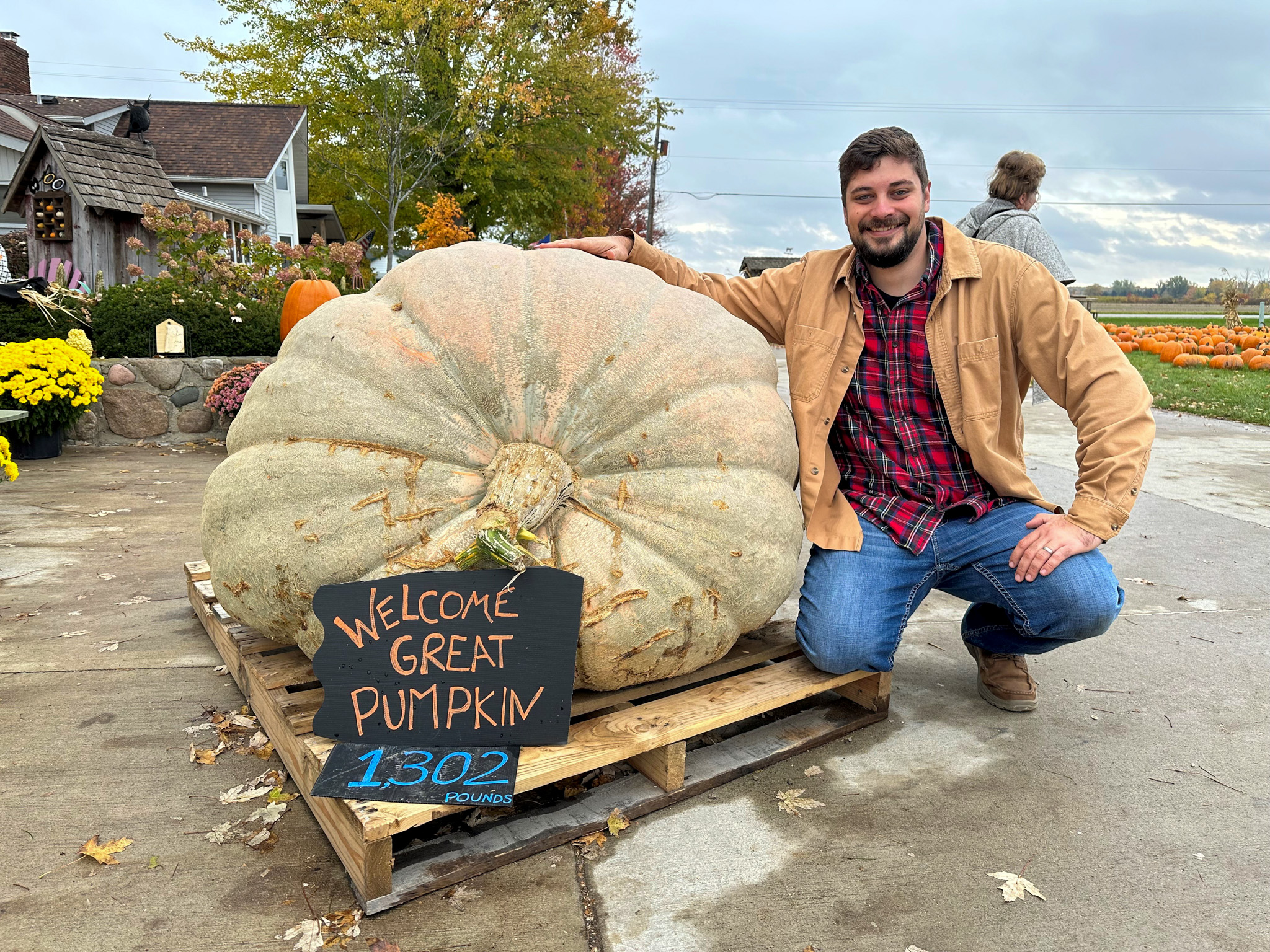 On the job: Max Milne picks pumpkins at Maxwell’s Pumpkin Farm