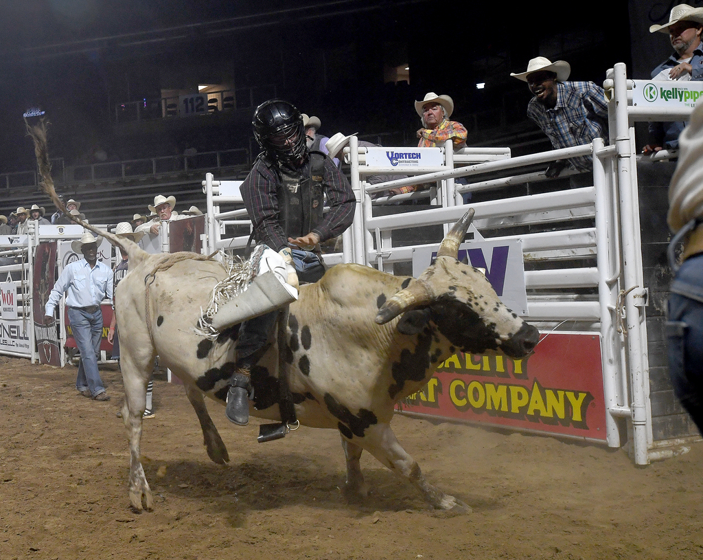 Bridgeport's Total Mortgage Arena to host Professional Bull Riding