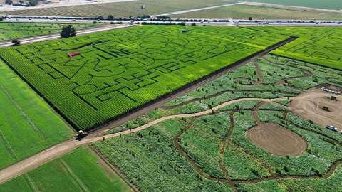 The Best Corn Mazes in the US