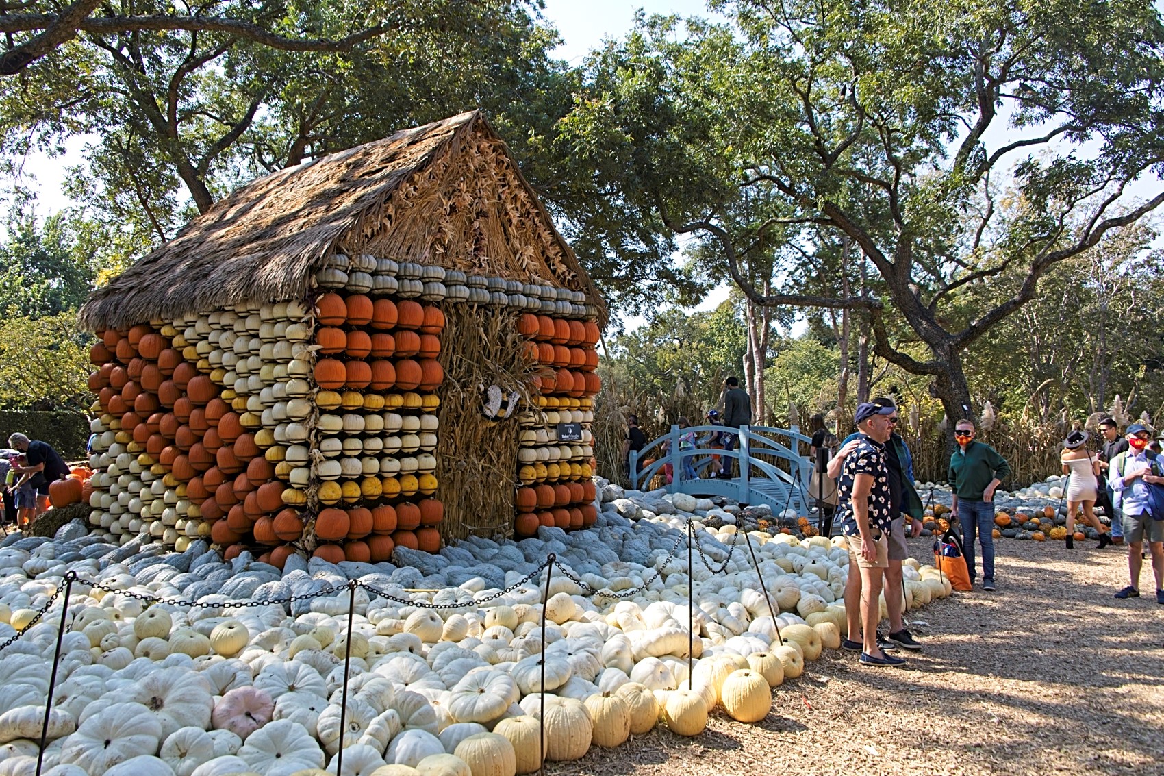 The Best Pumpkin Patches in the U.S.