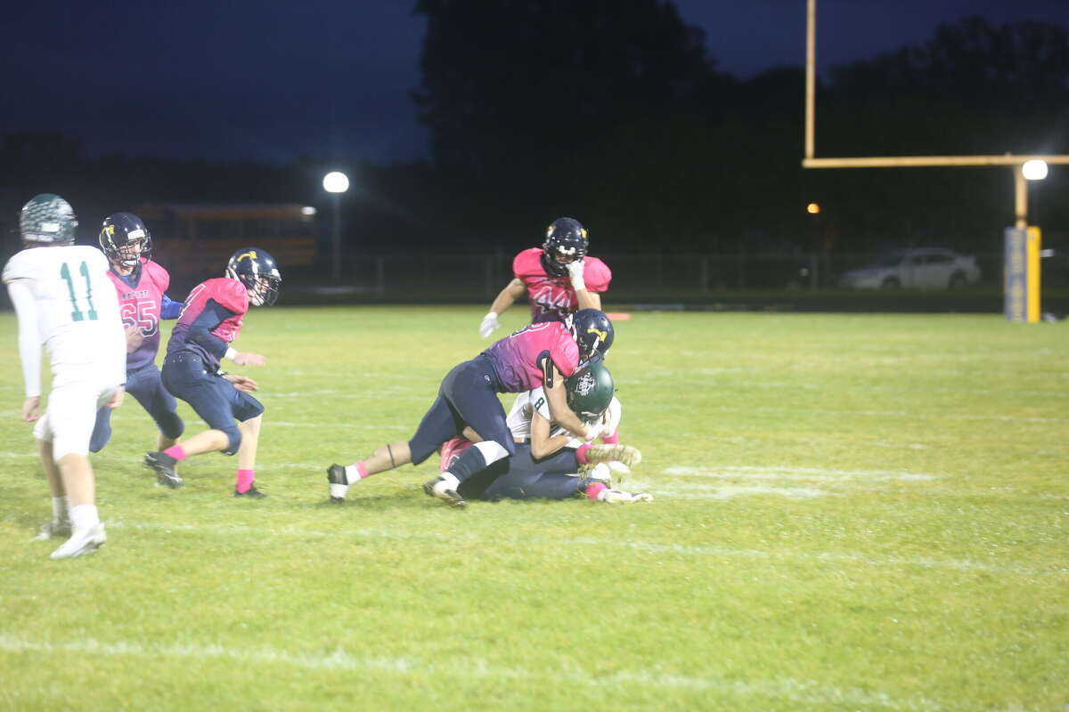 Elkton-Pigeon-Bay Port Laker defeats Bad Axe to end regular season