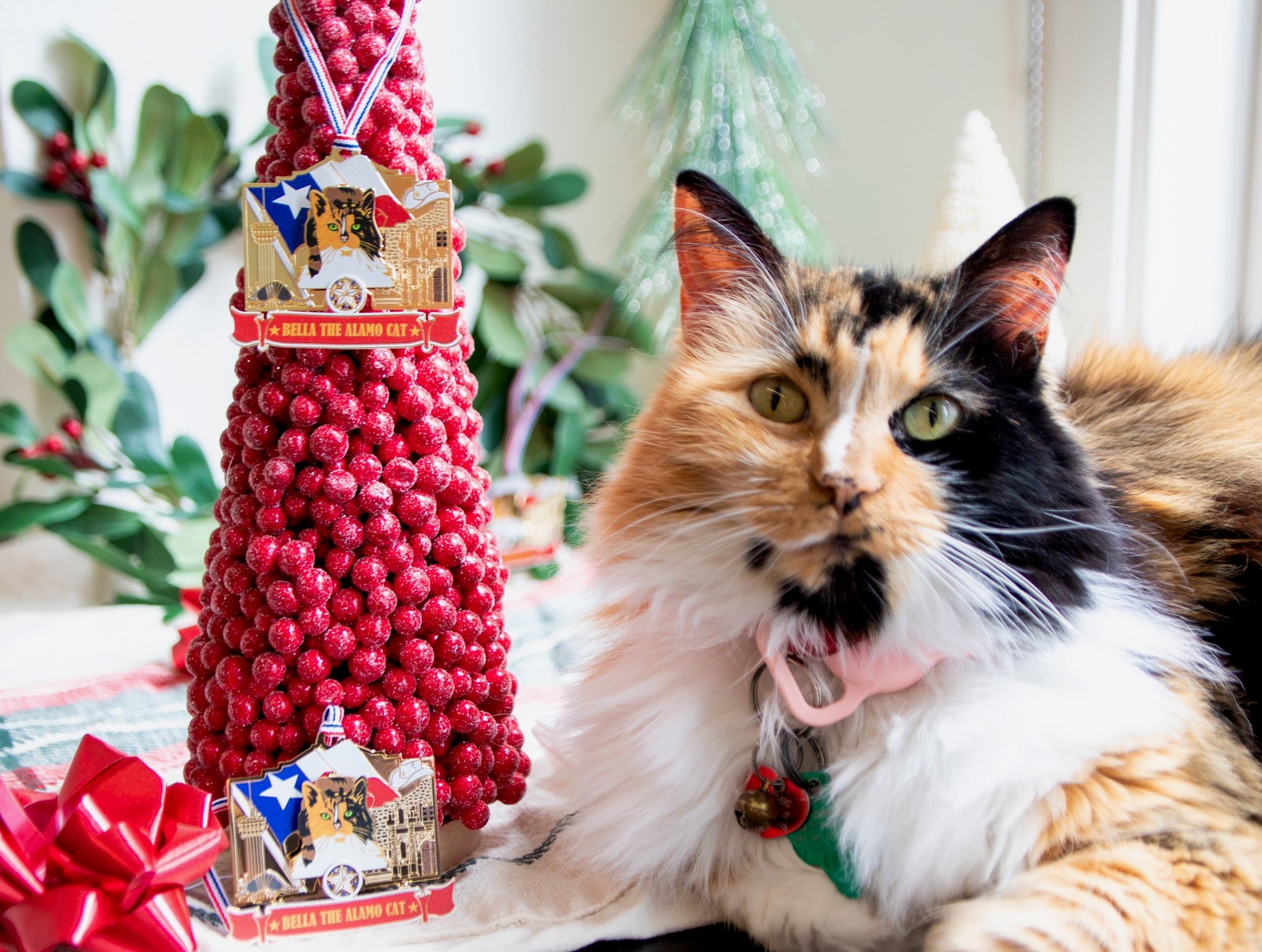 Alamo selling Bella the Alamo Cat ornaments for holidays