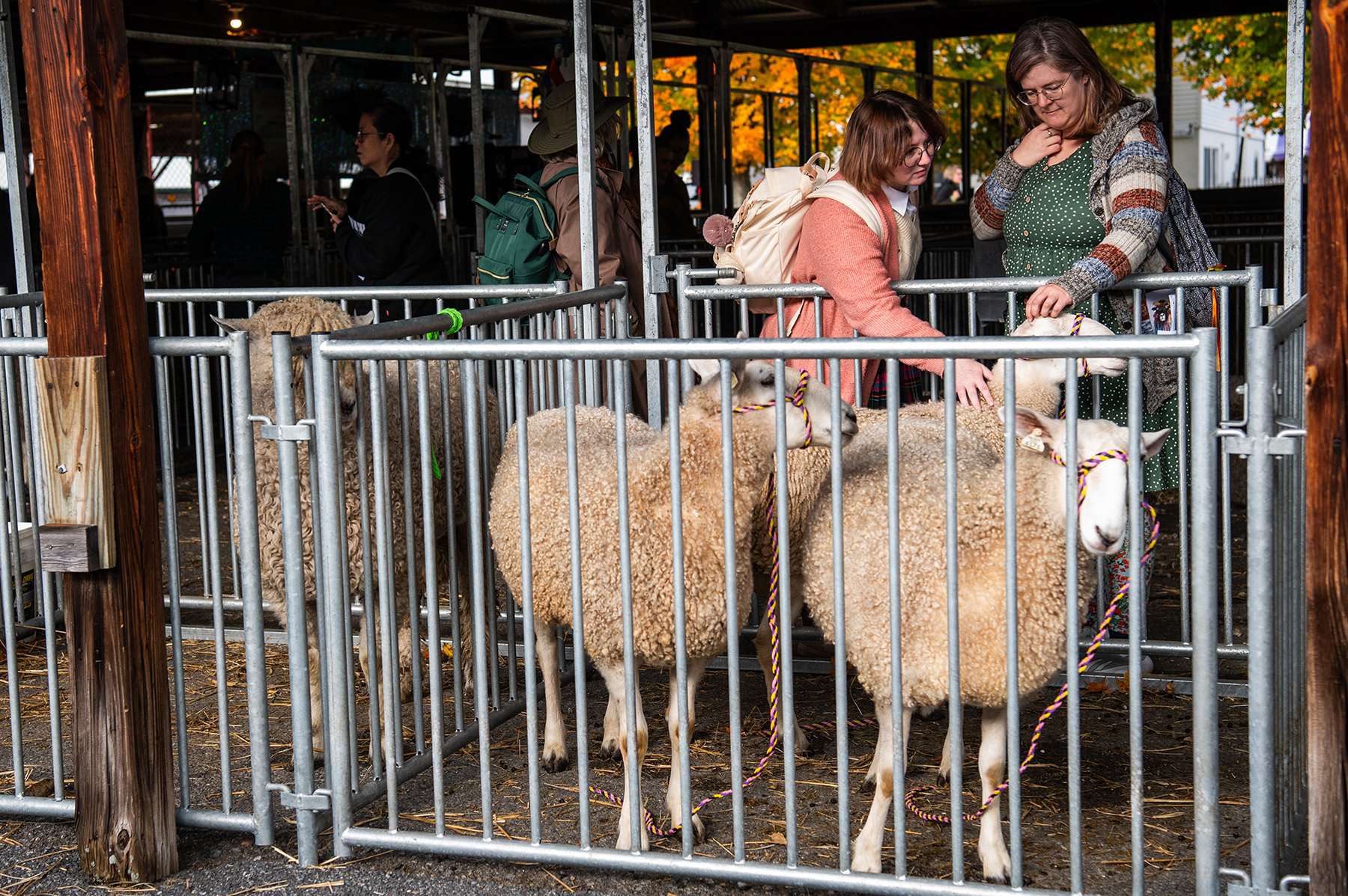 Spettro review: Poughkeepsie restaurant is becoming a local favorite