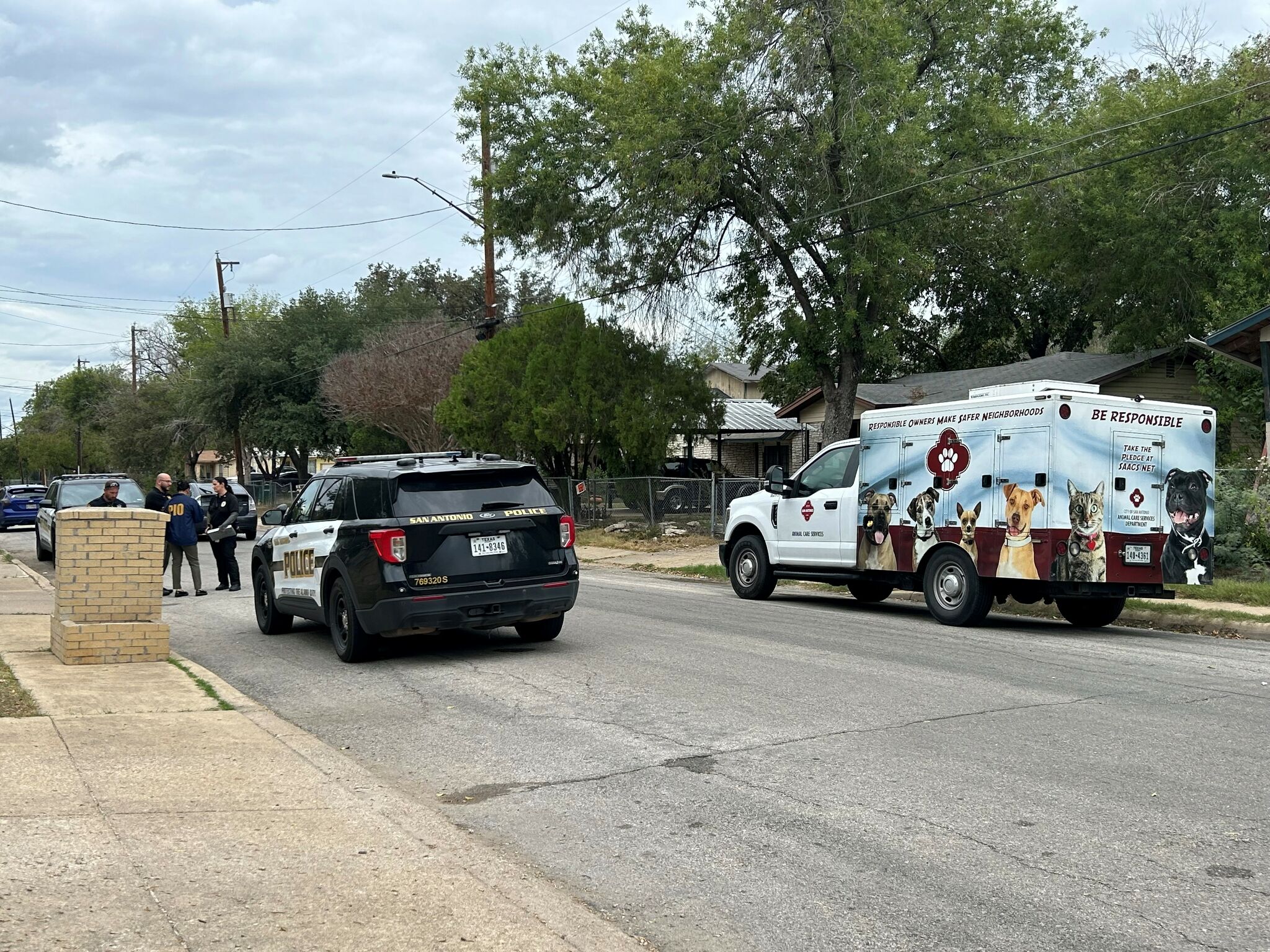 Amazon driver attacked by pit bull on Southwest Side