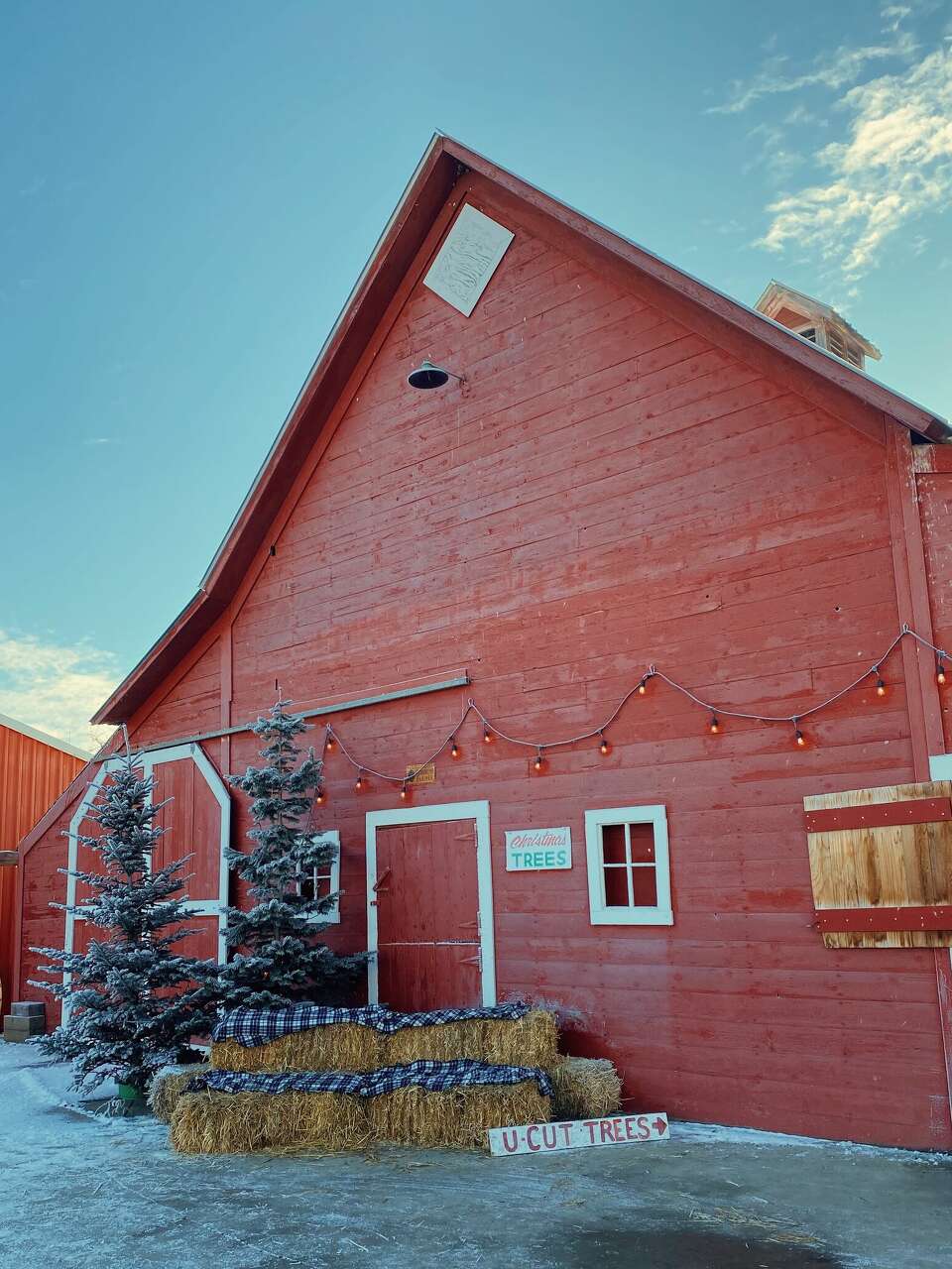 The Best Christmas Tree Farms to Visit This Holiday Season