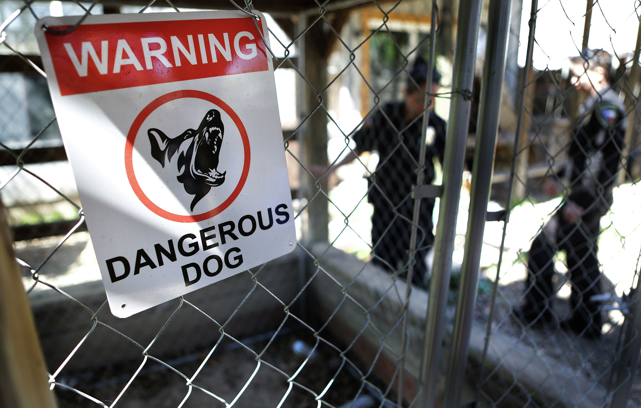 How do we stop dogs mauling people in San Antonio?