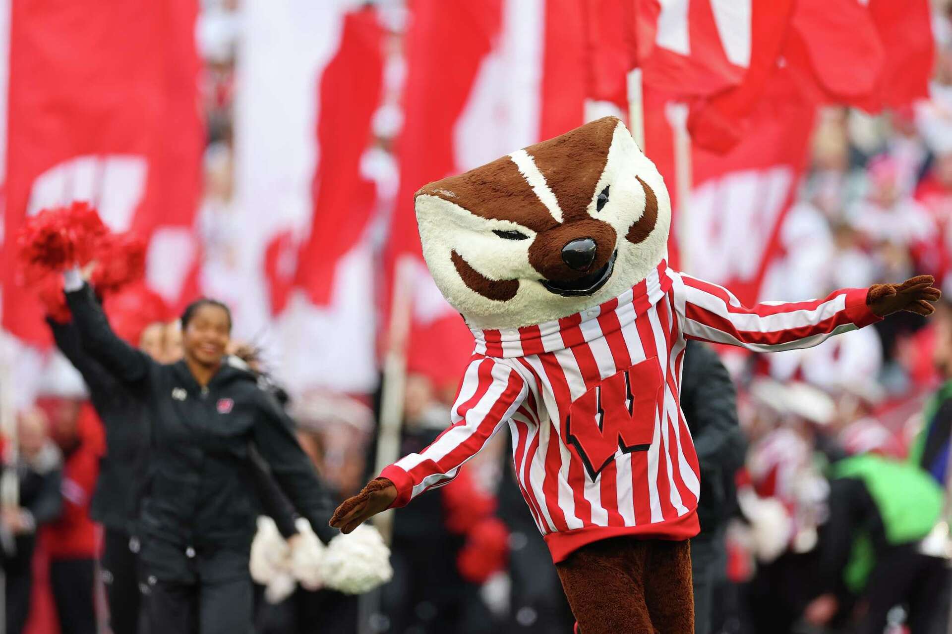 Wisconsin badger takes on UH economist over trademark