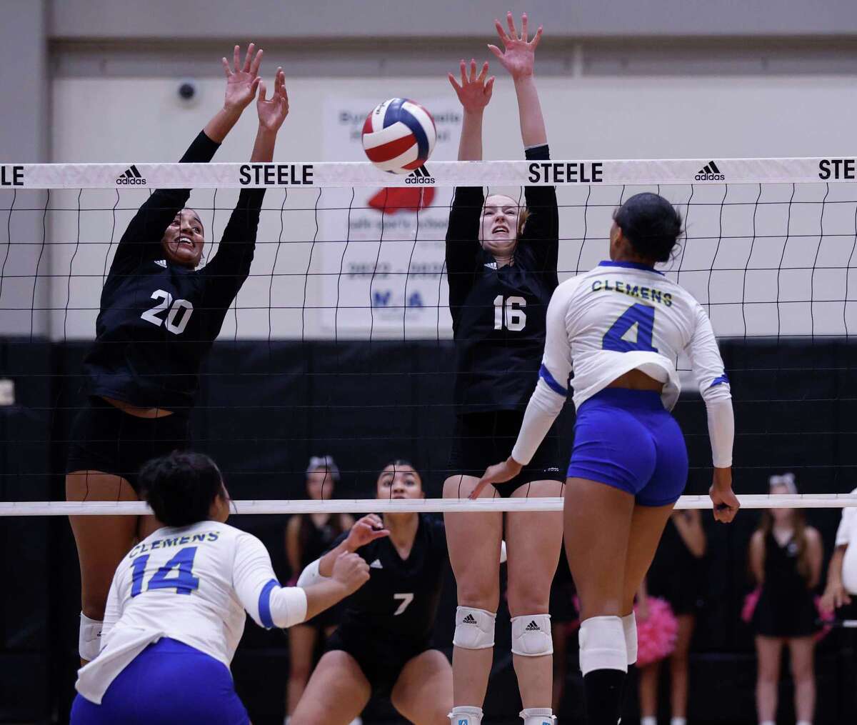 Steele volleyball claims share of District 27-6A title