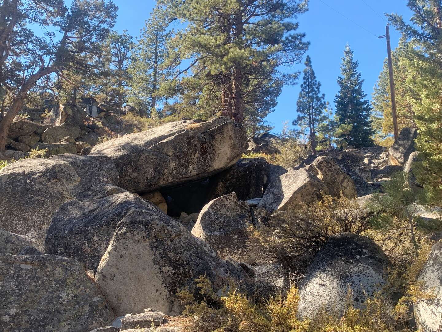 Snowshoe Thompson: Tahoe's wolf-fighting, skiing mailman