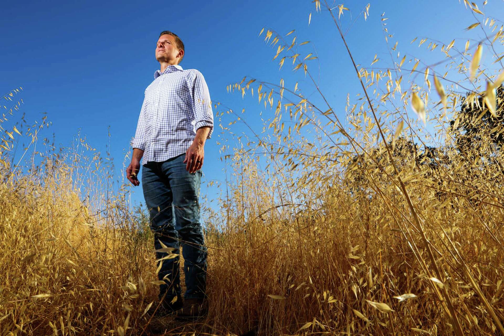 It was a quiet Bay Area town. A Pride flag vote divided it