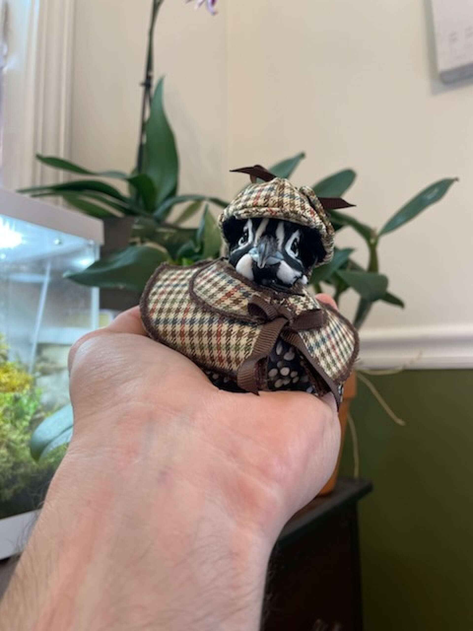 CT farmers create children's book series starring famed TikTok quail