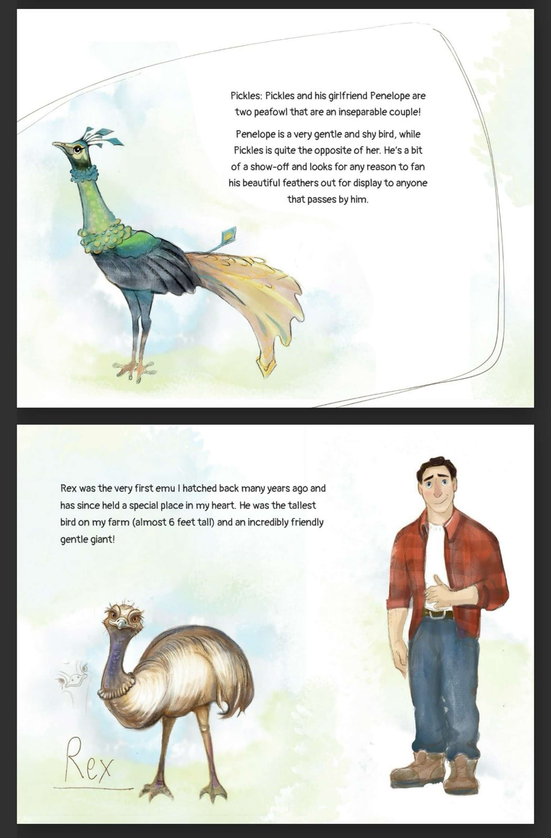 CT farmers create children's book series starring famed TikTok quail