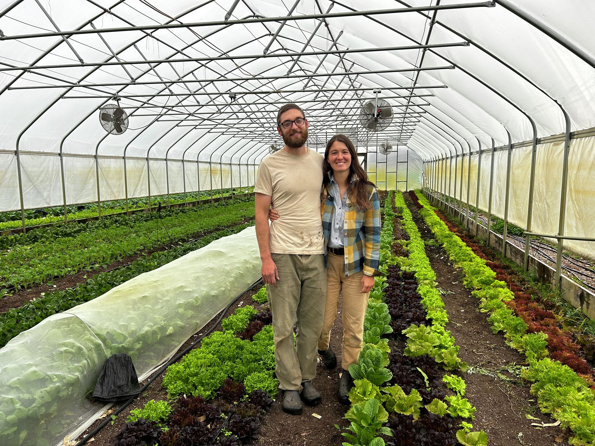 Good Stead Farm provides Midland County with organic vegetables