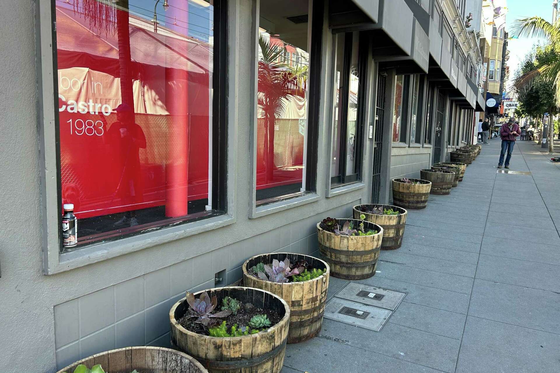 Here’s what our survey of planters as S.F. encampment deterrent found