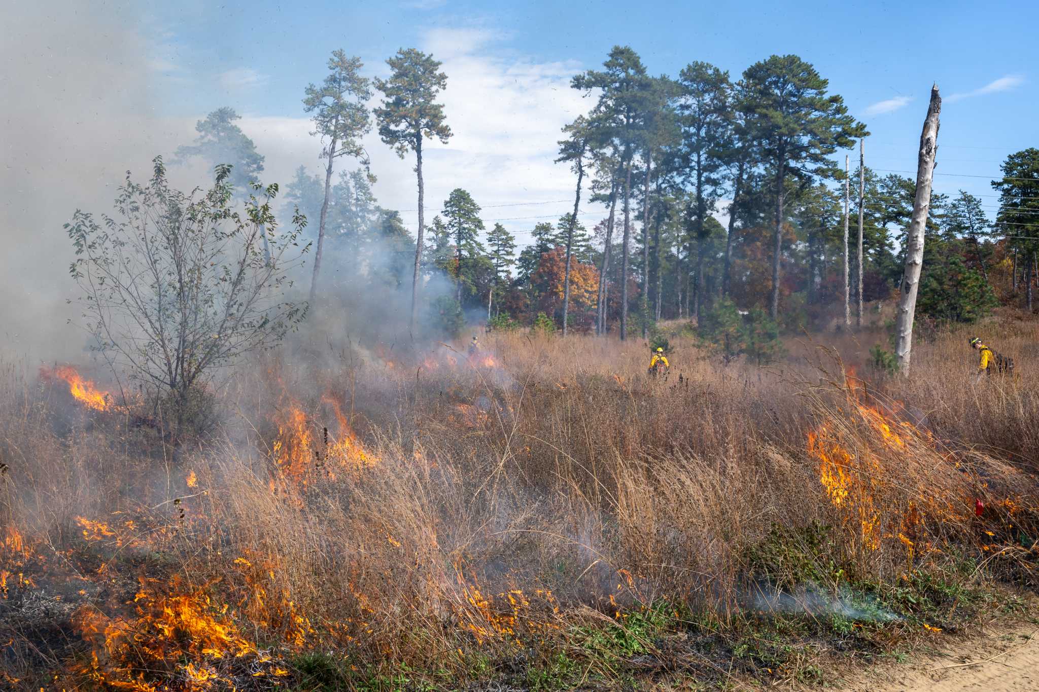 Fire crews burned brush in Pine Bush Preserve on Friday
