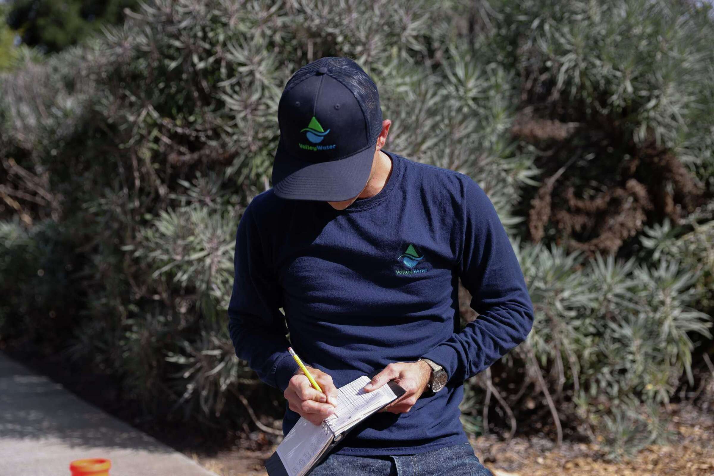 Why Bay Area groundwater rebounded faster than elsewhere in California