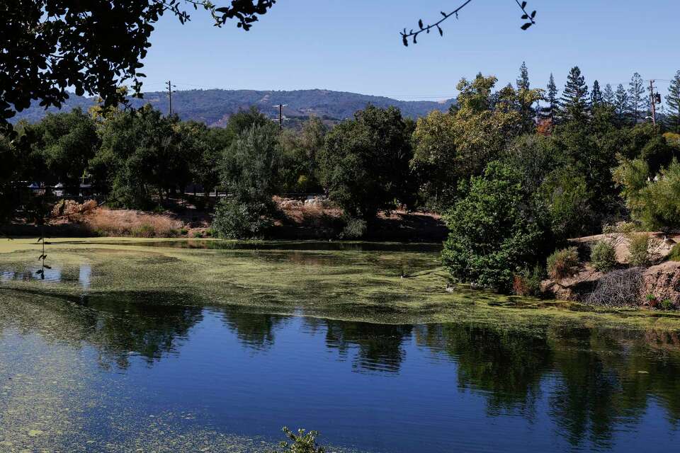 Why Bay Area groundwater rebounded faster than elsewhere in California