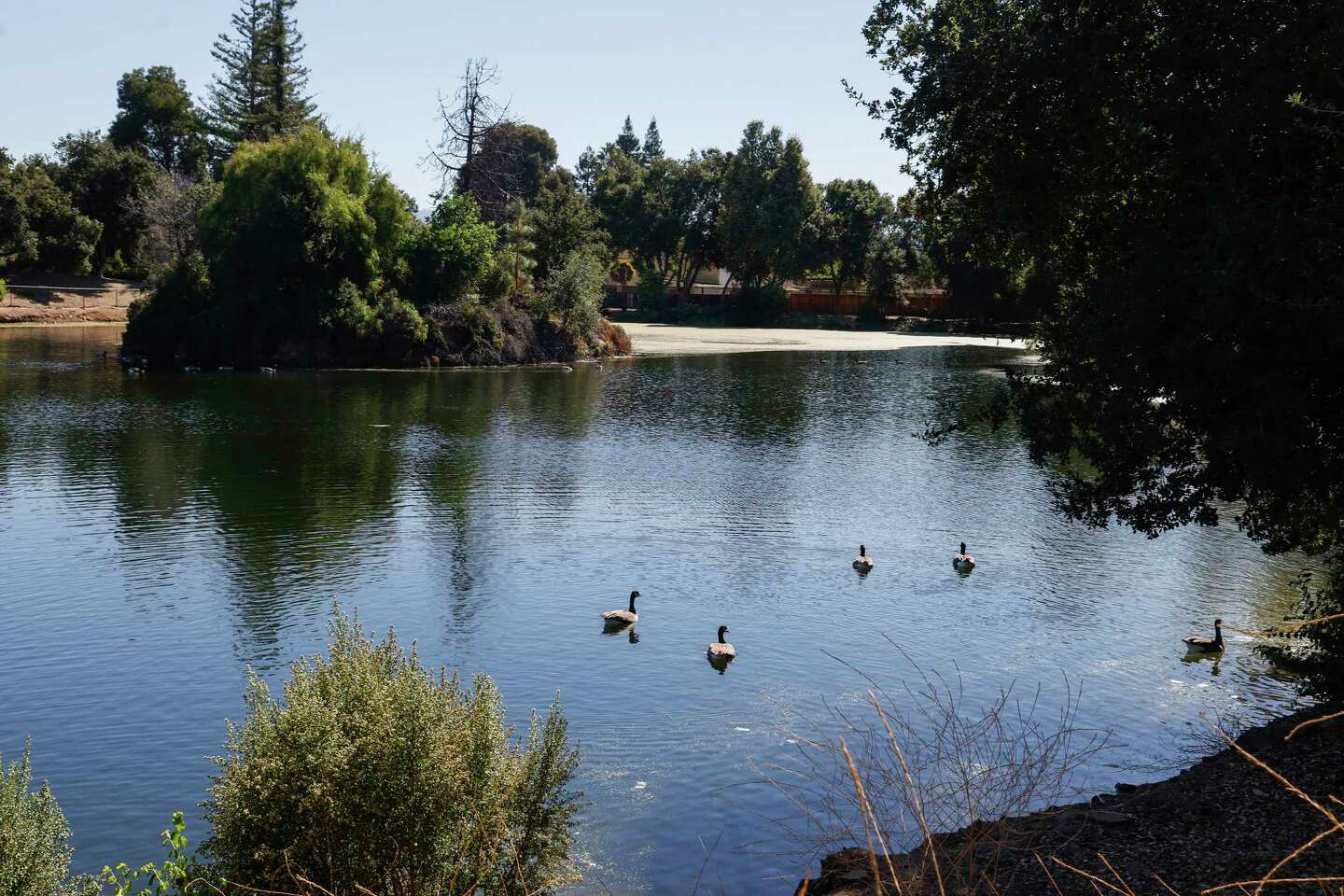 Why Bay Area groundwater rebounded faster than elsewhere in California