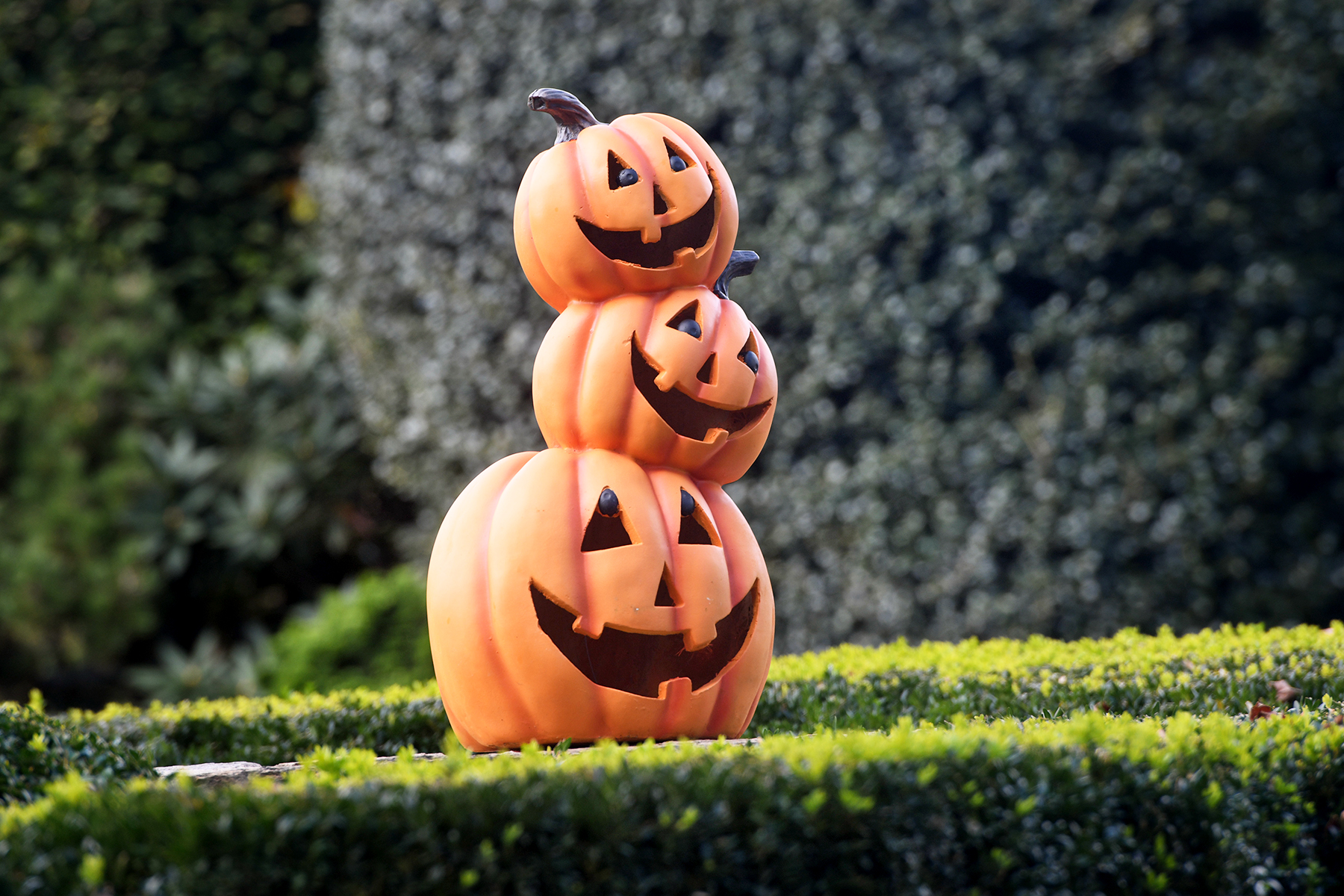 NWS: Heavy rain and flooding today in CT, sunny on Halloween