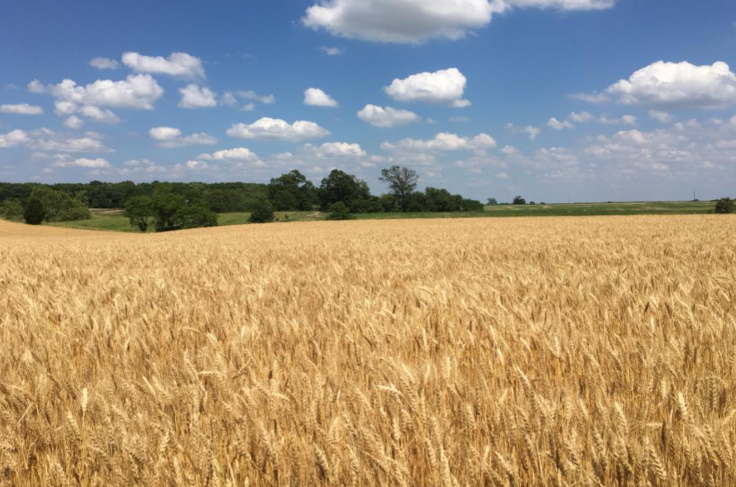 Eldred art to appear in Davidsmeyer's office