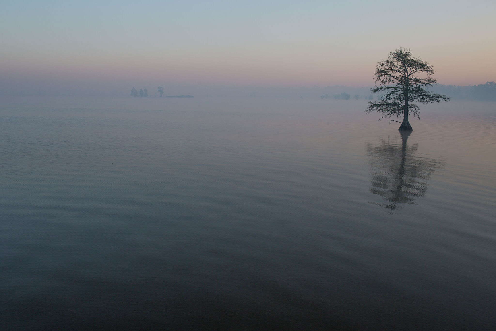 Body of woman who went missing kayaking in Texas lake found