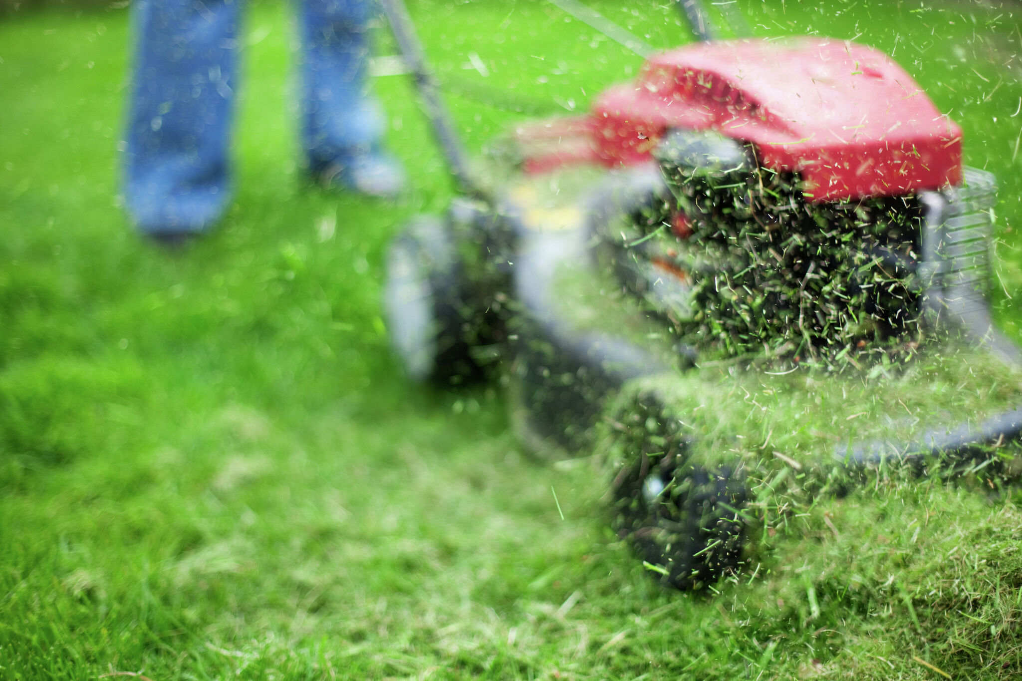 Harris County leads the U.S. in pollution from lawn equipment