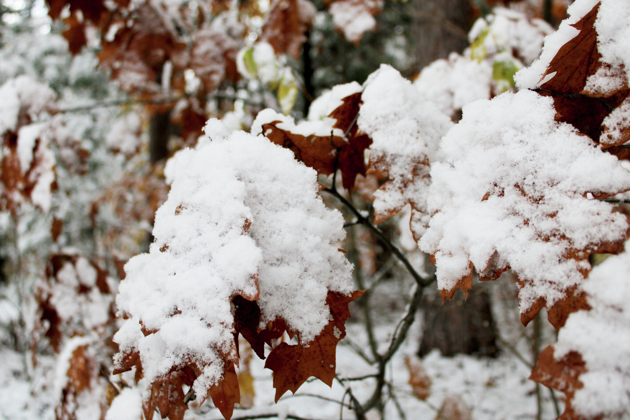 OPEI offers tips to stay safe when using power generators