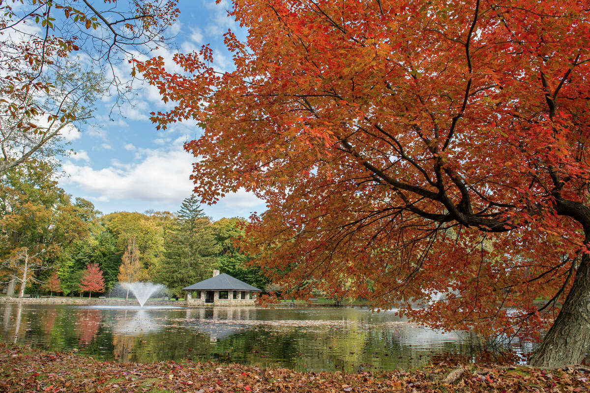 Photos capture fall foliage in Connecticut this October and November