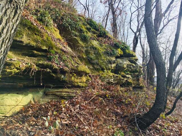 Best Hiking Trails in Madison, Wisconsin - Where the Locals Go Hiking