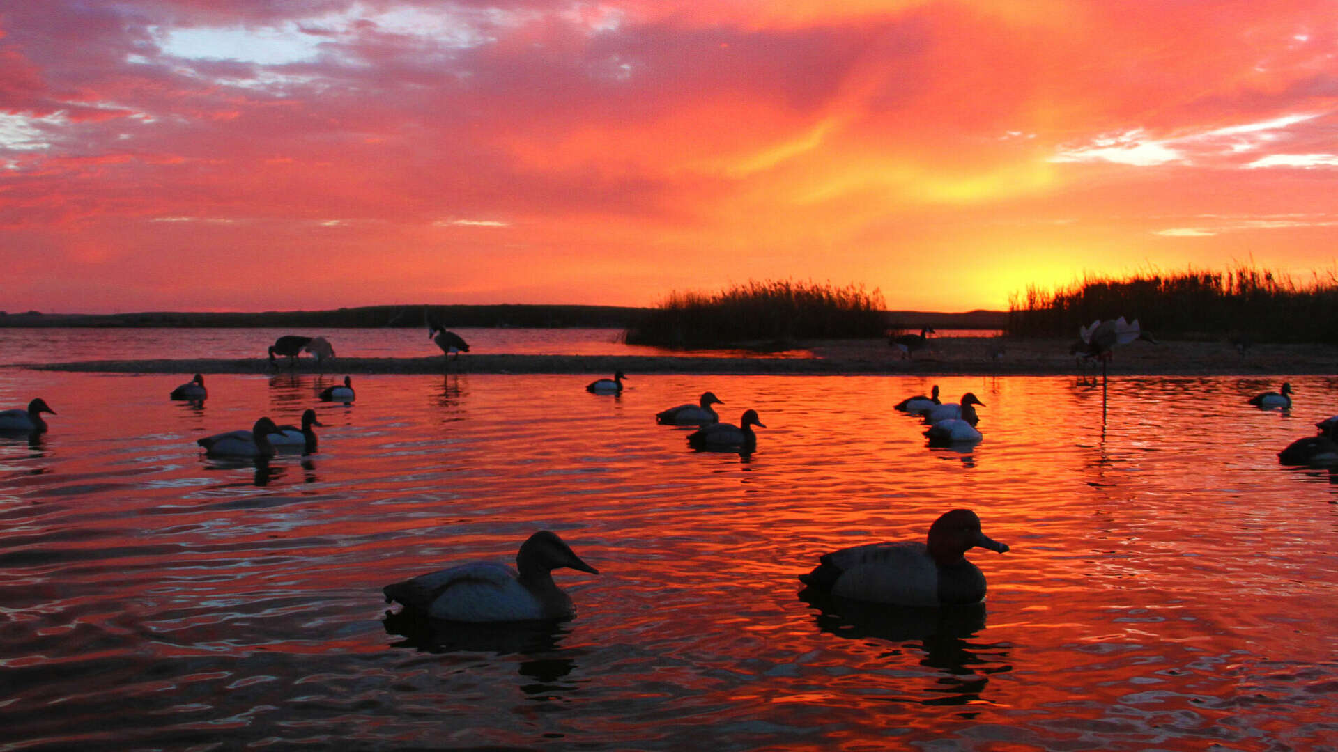 Waterfowl hunting season opens in Texas with promising hopes