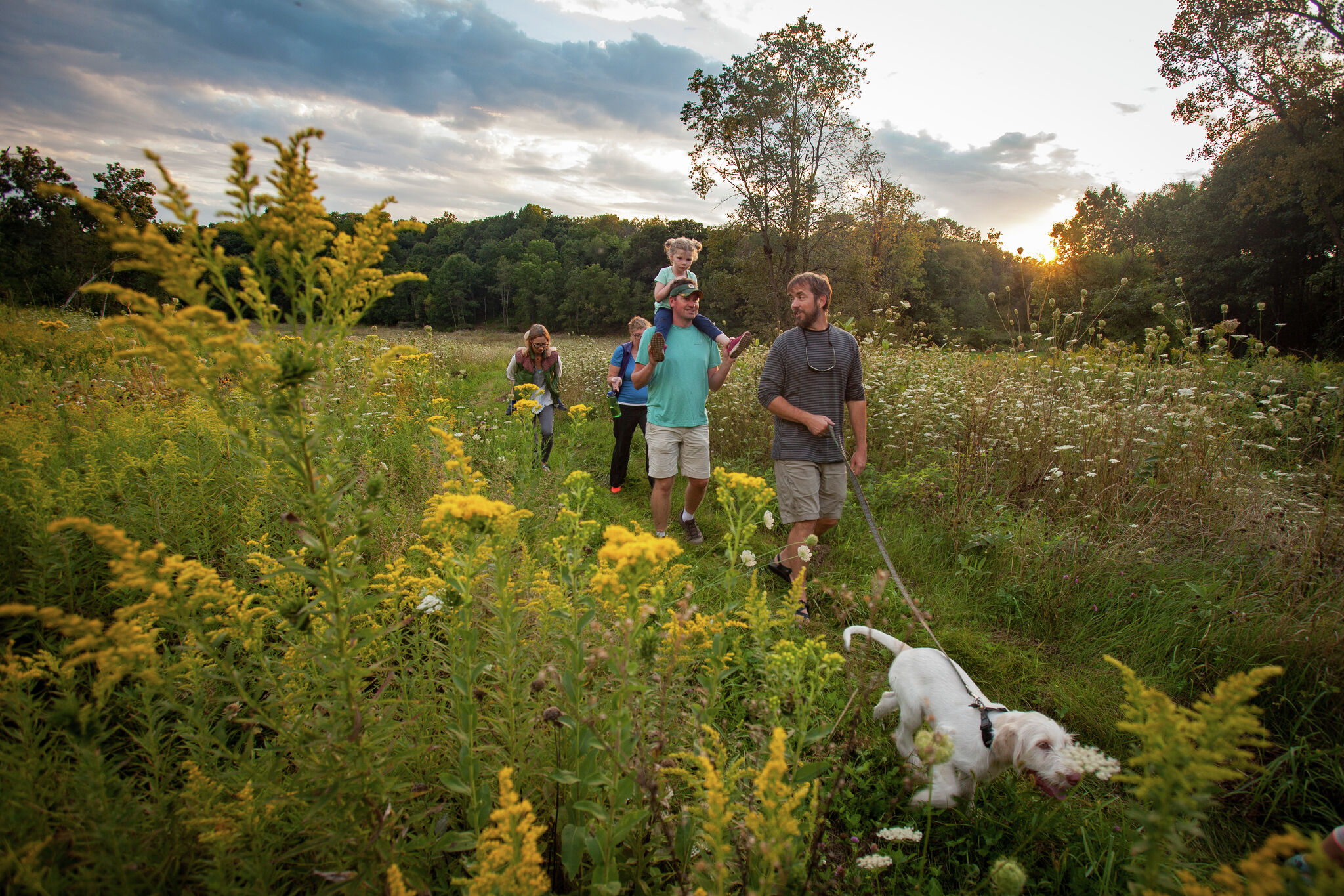 Best Hiking Trails in Madison, Wisconsin - Where the Locals Go Hiking