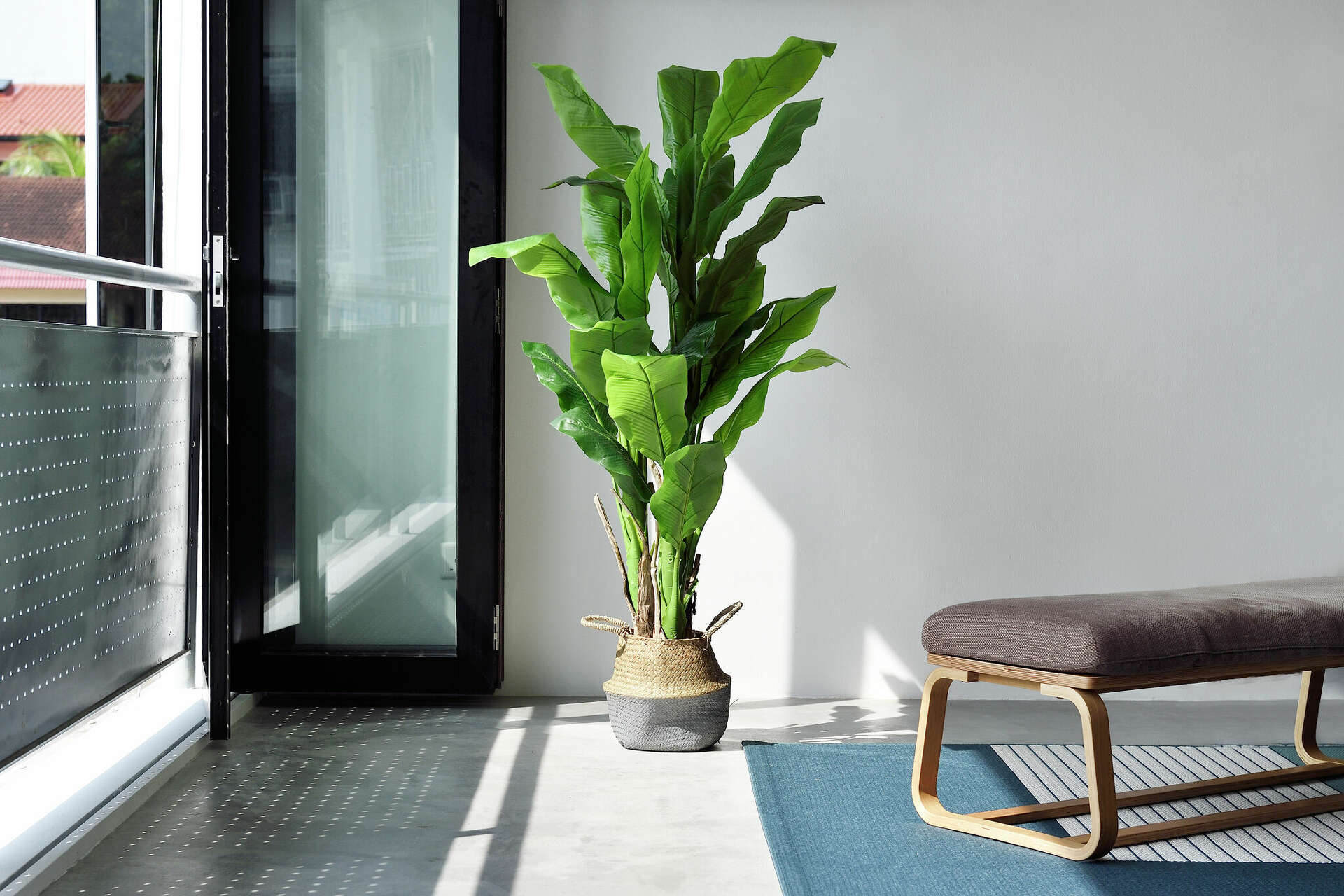 Where to find the best fake plants that actually look real