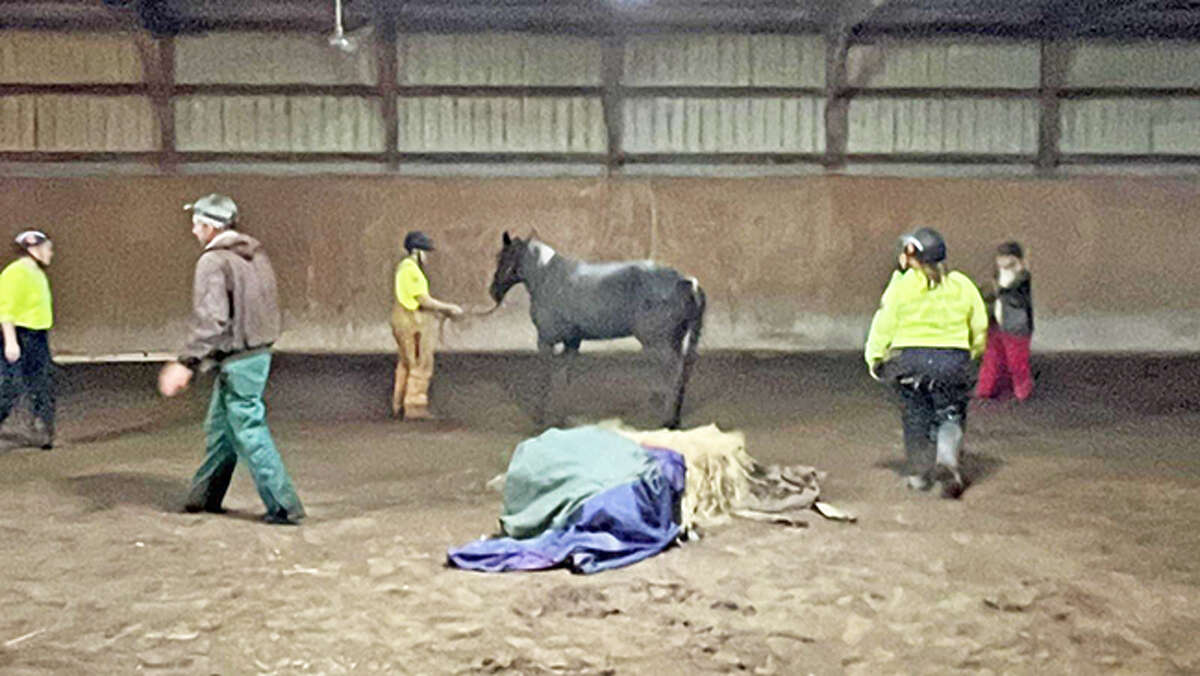 First responders save horse stuck in mud at local farm